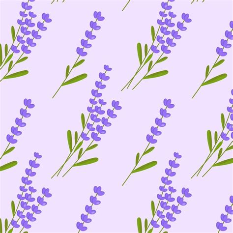 Premium Vector Seamless Lavender Flowers Pattern On White Background