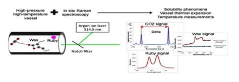 In Situ Raman Spectroscopy For The Evaluation Of Solubility In Supercritical Carbon Dioxide