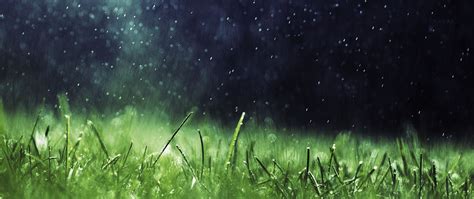 Ultra Wide Photography Depth Of Field Grass Nature Wallpapers Hd