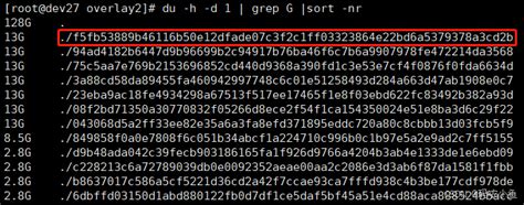 通过docker overlay2目录名查找容器名和容器id overlay2怎么找对应docker csdn博客