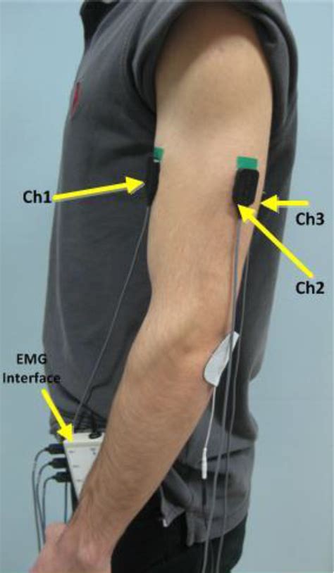 Emg Electrode Positions Download Scientific Diagram