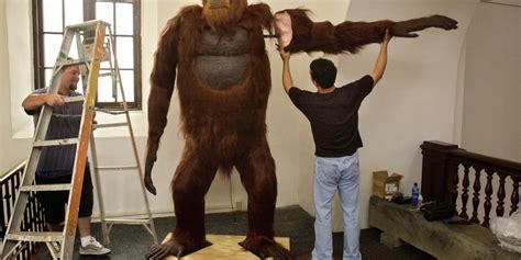 Gigantopithecus Vs Bigfoot