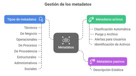 Tipos De Metadatos Y Cómo Gestionarlos Dqteam