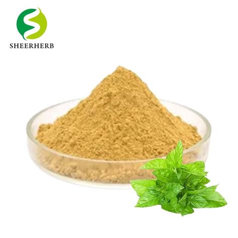 Holy Basil Leaf Extract Manufacturers Suppliers Factory Low Price