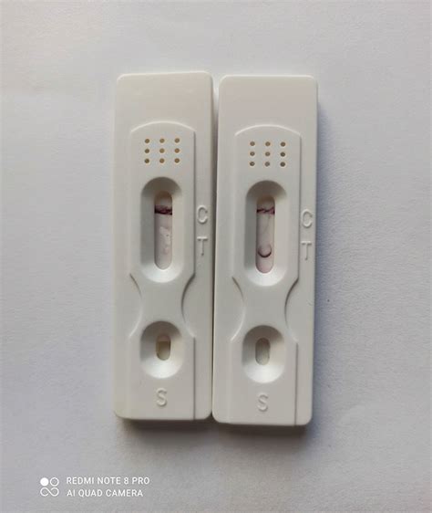 Simple Biosensor For Mycotoxins In Grains Top Crop Managertop Crop Manager