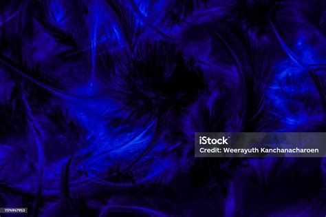 아름다운 클로즈업 텍스처 추상 화려한 어두운 검은 색과 파란색 깃털과 어둠 패턴 깃털 벽지 및 배경 및 예술 0명에 대한 스톡 사진 및 기타 이미지 Istock