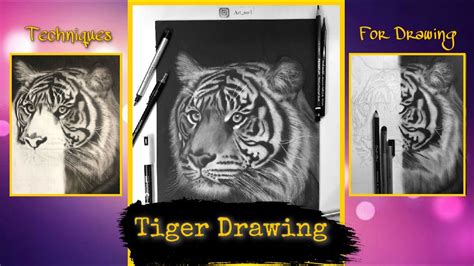 How To Draw A Realistic Tiger Head Step By Step Simple Tools Youtube