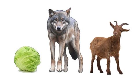 Wolf Goat Cabbage Problem Java