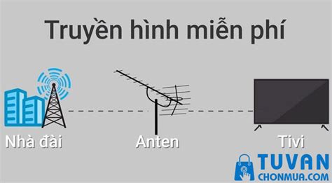 Review top Anten Tivi DVB T thu sóng tốt nhất