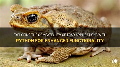 Exploring The Compatibility Of Toad Applications With Python For