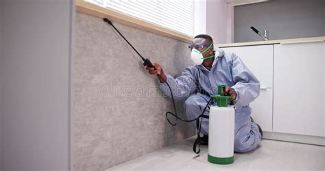 Male Pest Control Worker With Spraying Pesticide Stock Image Image Of