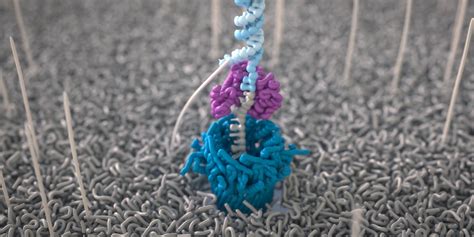 Human Genome Assembly And Analysis Using R1041 Kit 14 And Duplex Data