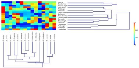 hierarchical clustering—as a paired group upgma unweighted pair group