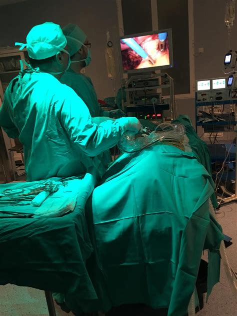 Juan Francisco Ruiz Rabelo On Linkedin Bilateral Laparoscopic Tep