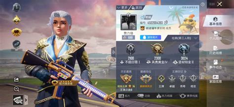 和平精英 安卓qq账号编号f474335出售 盼之代售 手游网游账号买号卖号平台