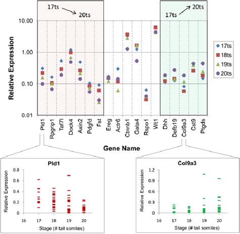 A Small Amount Of The Gene Expression Variability Observed In Xy F2