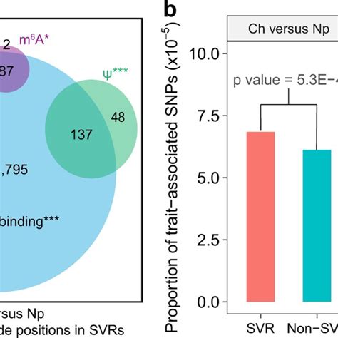 application of diffscan to explore the roles of rna structural