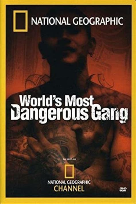 Where To Stream Worlds Most Dangerous Gang 2005 Online Comparing 50