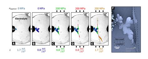 The Response Of Propagating Metal Dendrites To Applied Loads In A 250