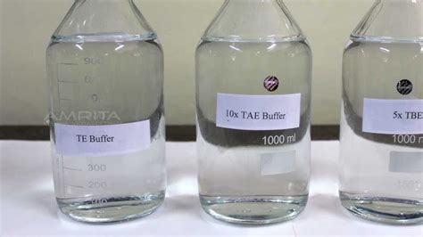 Tris Acetate Buffer Recipe Bryont Blog