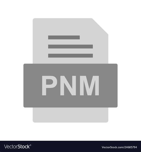 Pnm File Document Icon Royalty Free Vector Image