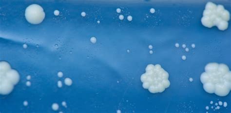 Synthetic Sex In Yeast Promises Safer Medicines For People