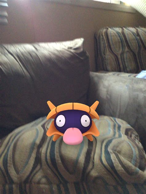 I Just Got My Very First Shiny In The Game I Am So Proud Of Myself