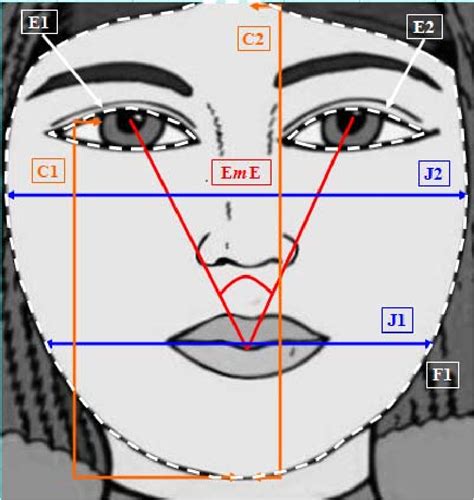 Figure 31 From The Facial Masculinity Of Women In Sex Segregated