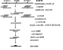 图位克隆 百科