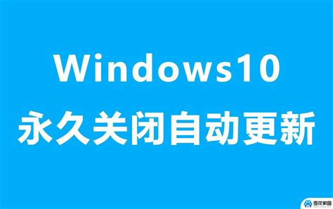 Win11关闭并更新win11如何关闭自动更新 雪花家园
