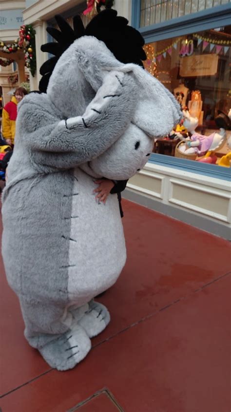 なでなでイーヨー！！！東京ディズニーランド（15） 夜空にサングラス。