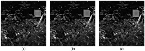 An Effective Infrared And Visible Image Fusion Approach Via Rolling Guidance Filtering And