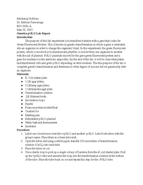 Genetics Lab P GLO Lab Report Mackenzy Robbins Dr Melissa Tomcavage BIO 262L A May 02 2023