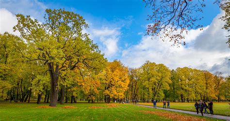 2016 10 15 1410476d Fck Flikr Flickr