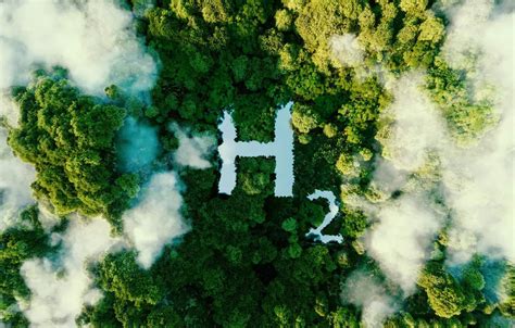 Adani Totalenergies To Create The Worlds Largest Green Hydrogen