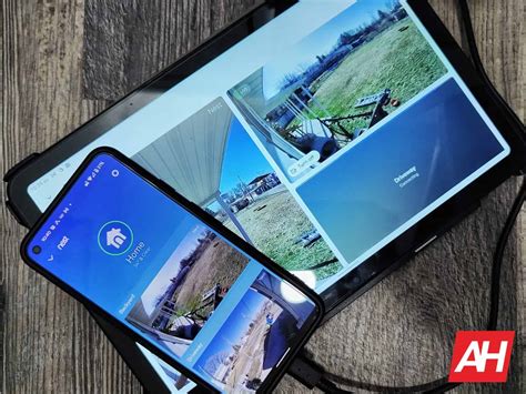 What Is Nest Everything You Need To Know Updated May 2022