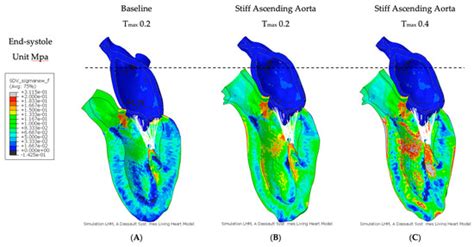 Bioengineering Special Issue Computational Models In Cardiovascular