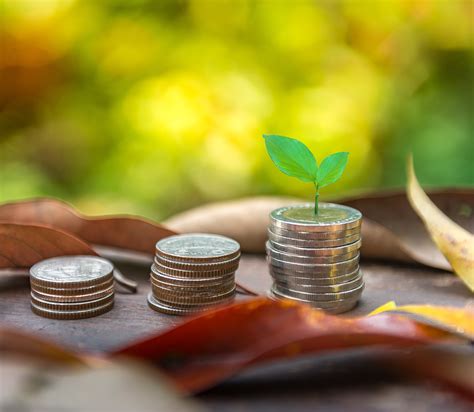 Ddr Stock Is A Real Estate Company Paying A Dividend Yield Of 759