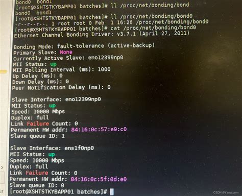查看bond接口详细信息linux查看bond信息 Csdn博客