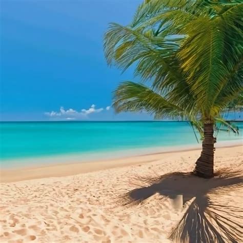 Palm Trees On A Beautiful Beach On Craiyon