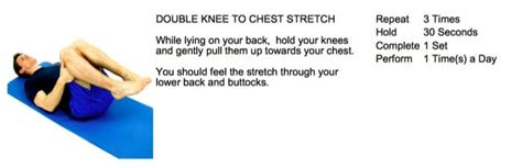 Chiropractic Spinal Stenosis Exercises Oakville