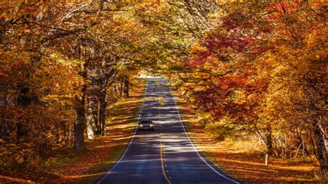 10 Amazing Trips To Take In The Fall In Virginia