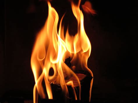Wood For The Fireplace Fire Energy Orange Communication Warm