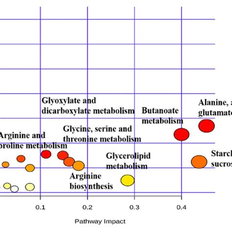 Pathway Analysis Performed By The Metabolic Pathway Analysis Metpa