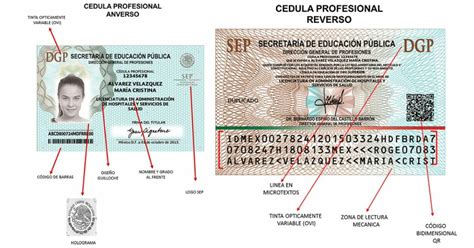 Cédula Profesional 2023 trámite requisitos y cómo obtener un duplicado DATANOTICIAS
