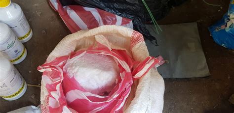 El Cártel De Sinaloa Y El De Los Soles Al Que Ligan A Nicolás Maduro
