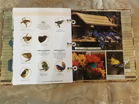 Bird Junk Journal Etsy