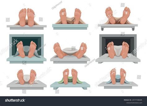 Died Human Legs Tag Cadaver Body Stock Vector Royalty Free 2577738445