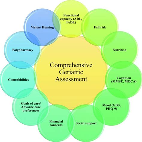 Model For A Multidisciplinary Team Approach To The Cga In Older Download Scientific Diagram