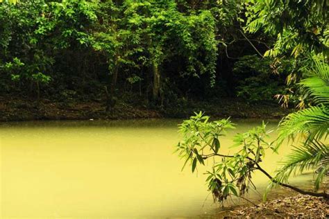 Punta Cana Small Group Walking Tour Of Anamaya Mountains GetYourGuide